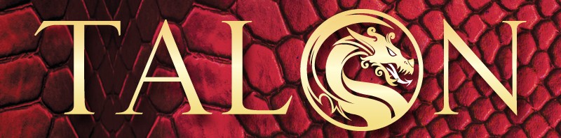 Talon Blog Tour: Get an exciting sneak peek with this Talon teaser ...